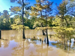 Chumuckla Springs Boat Ramp