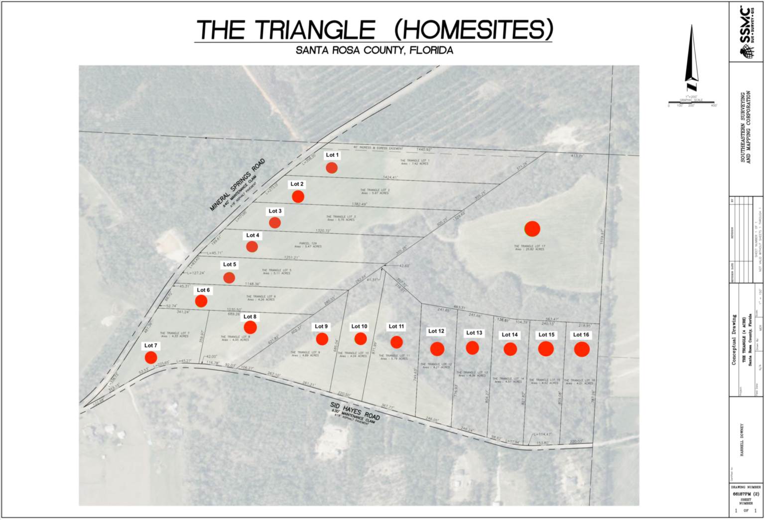 The Triangle - Mineral Springs FL